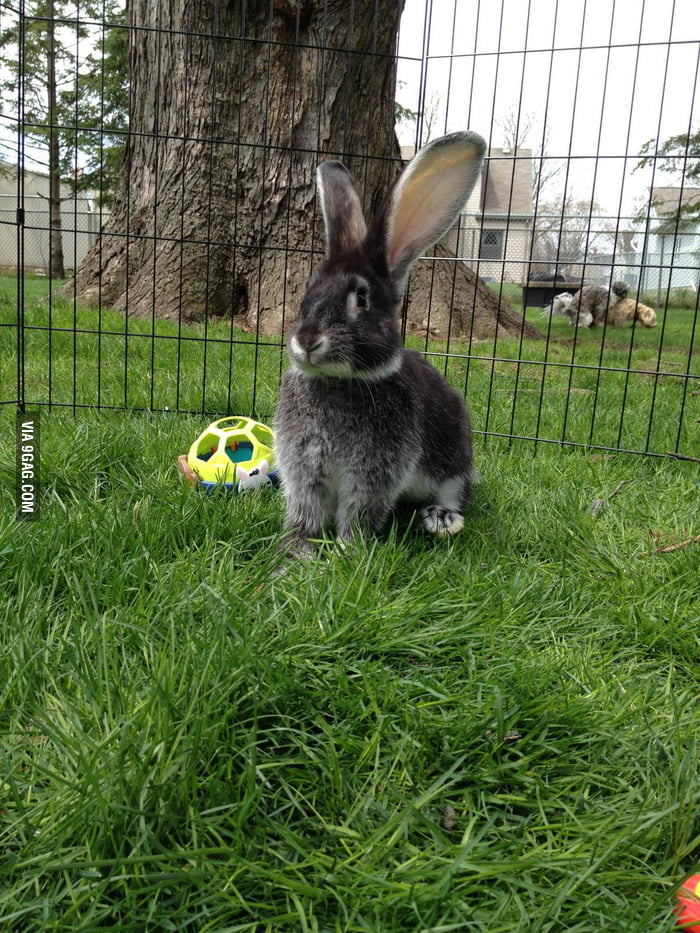 When you see it.... - 9GAG