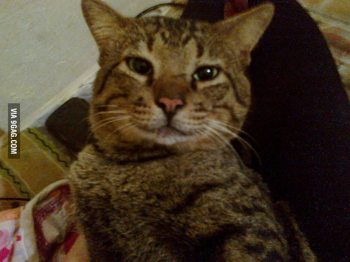 Hey ssupp wanna date? - 9GAG