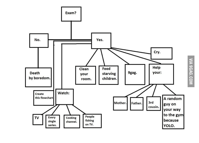 An accurate flowchart. - 9GAG