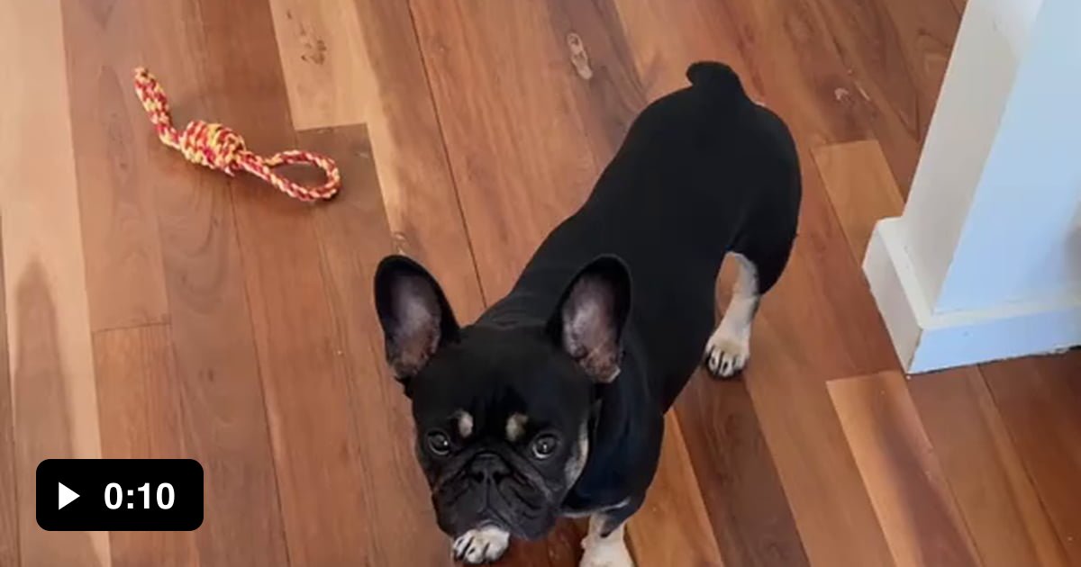 The perfect drool bubble - 9GAG