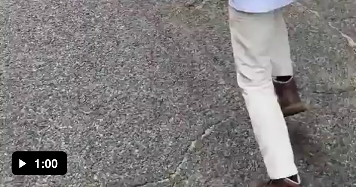 Robert irwin, spitting image of his father - 9GAG