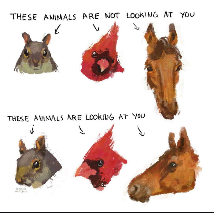 The side-eye is strong with these ones. - 9GAG