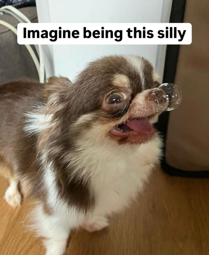 Imagine being this carefree and silly. - 9GAG