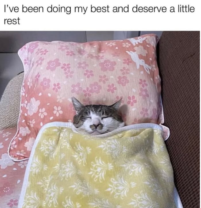 Rest well deserved - 9GAG