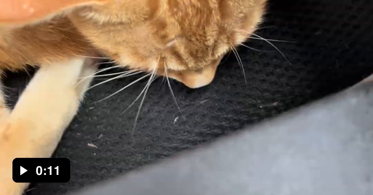 Engine start to no problem 5 minute tindindin problem engine kaput - 9GAG