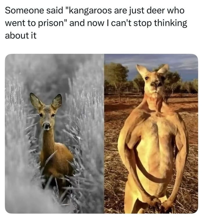 They arent wrong - 9GAG