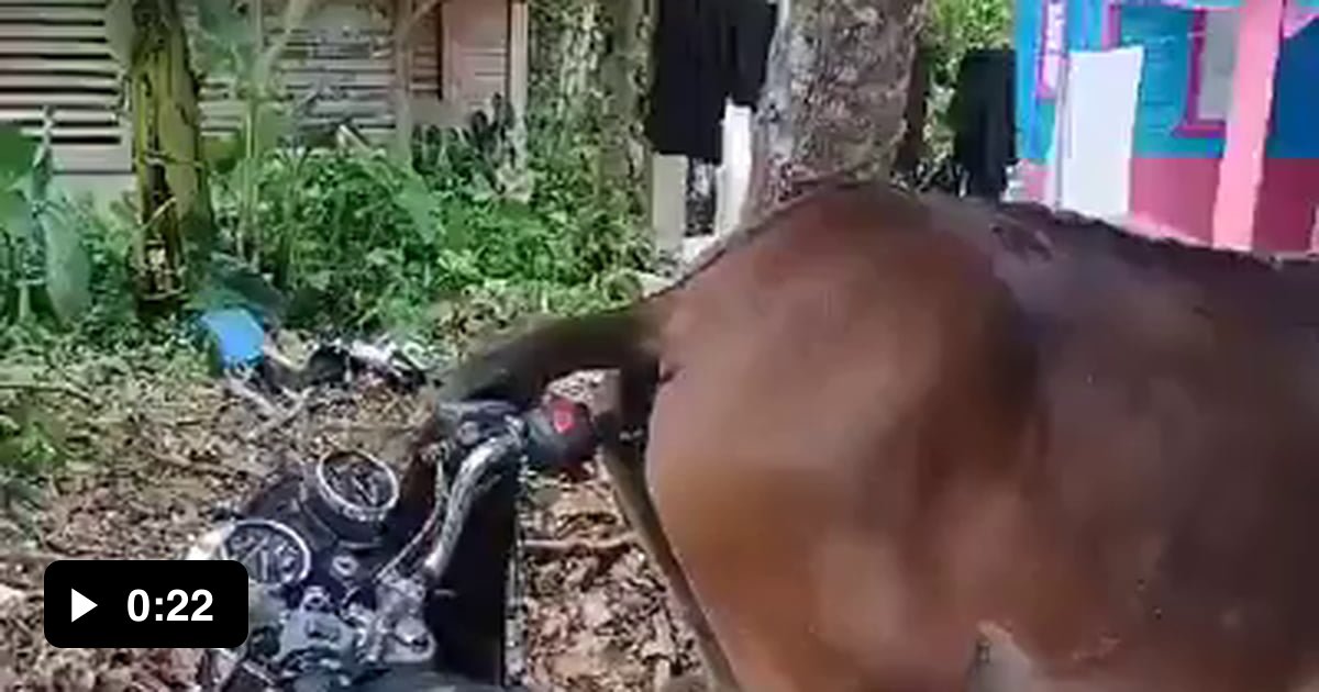 I'm selling my bike - 9GAG