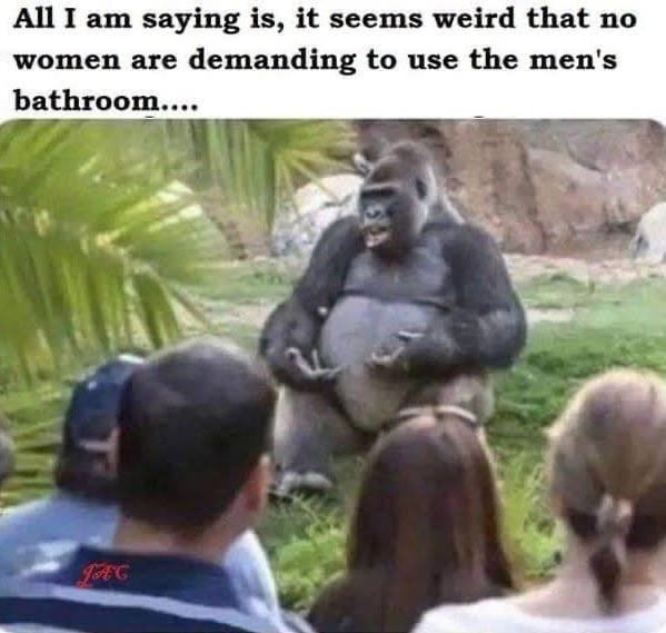 Gorilla truthful thoughts - 9GAG