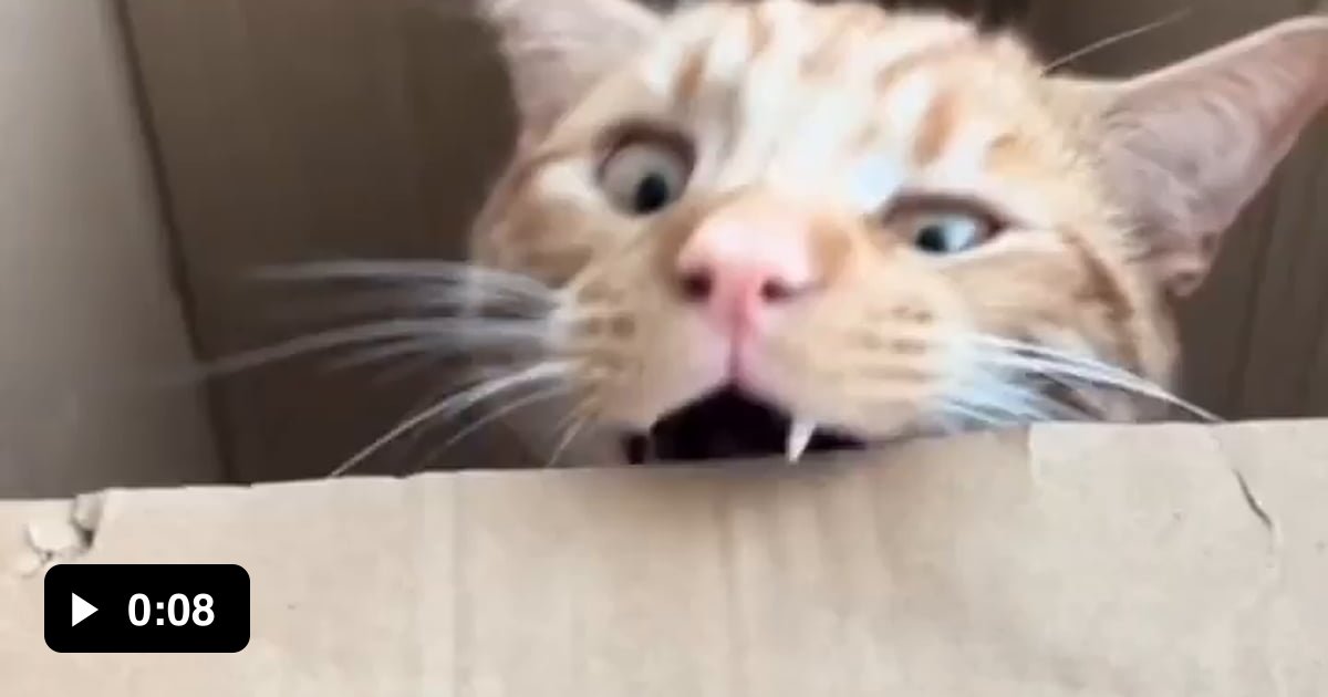 Environmentally friendly hole puncher - 9GAG