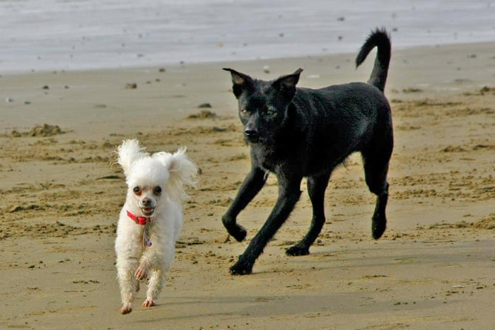 Nigel: "Hey Baby, wait up" - 9GAG