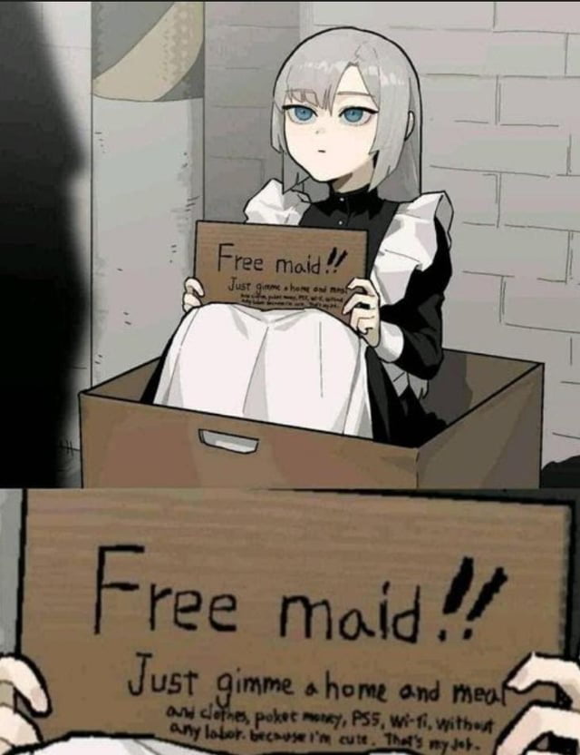 Anyone want a cute maid :3 Slight terms and conditions apply (Will wear catears for food) - 9GAG