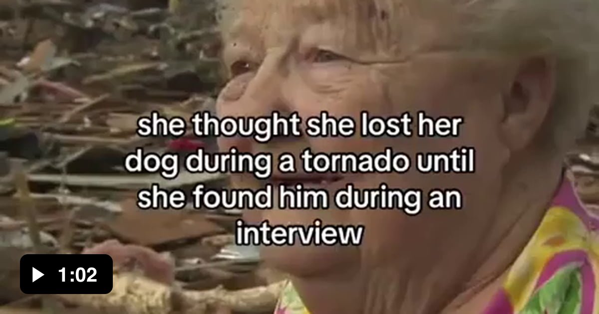 She had thought she lost her dog from the tornado but he was somehow found during the interview ...