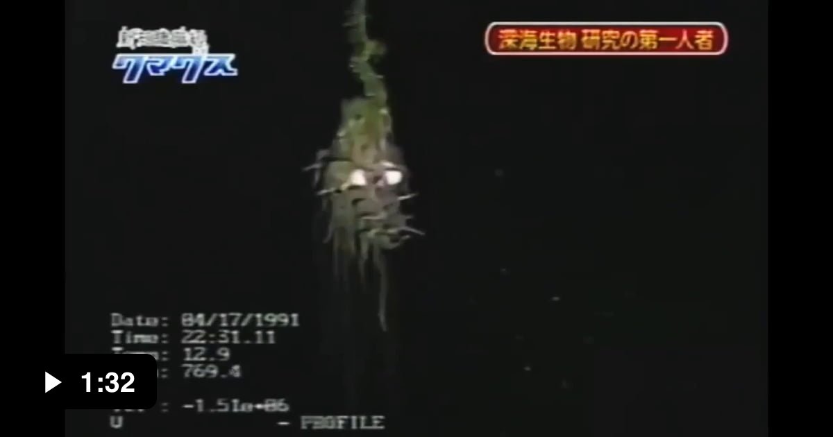 A rare and unique deep sea Siphonophore, videoed in 1991 and another in ...