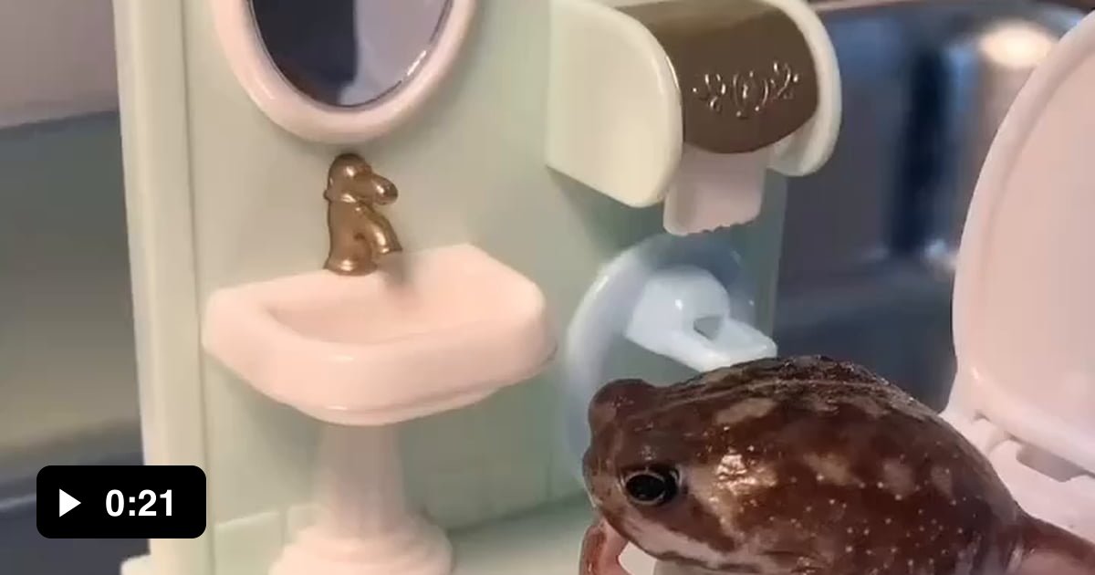 Stop ogling me, you ferv! (Frog perv) - 9GAG