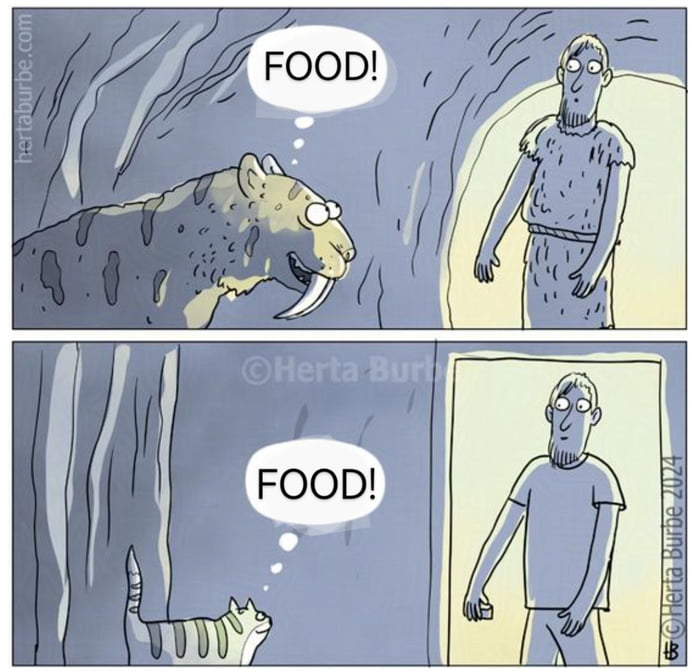 Ha ha ha! i mean meow - 9GAG