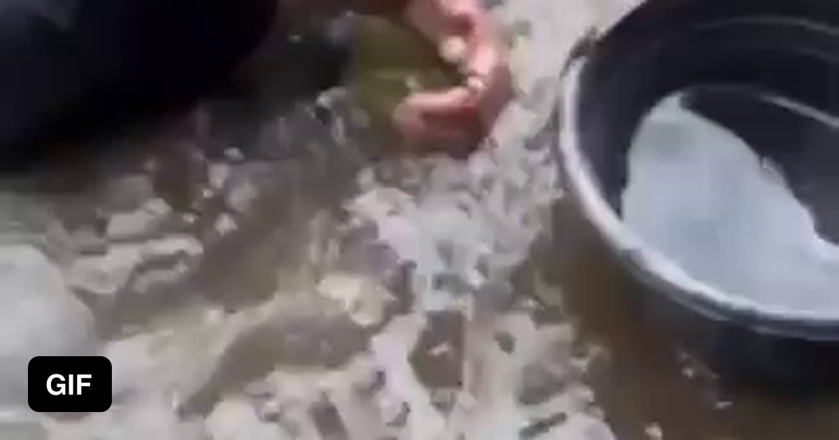 Me after getting too much sheemin - 9GAG