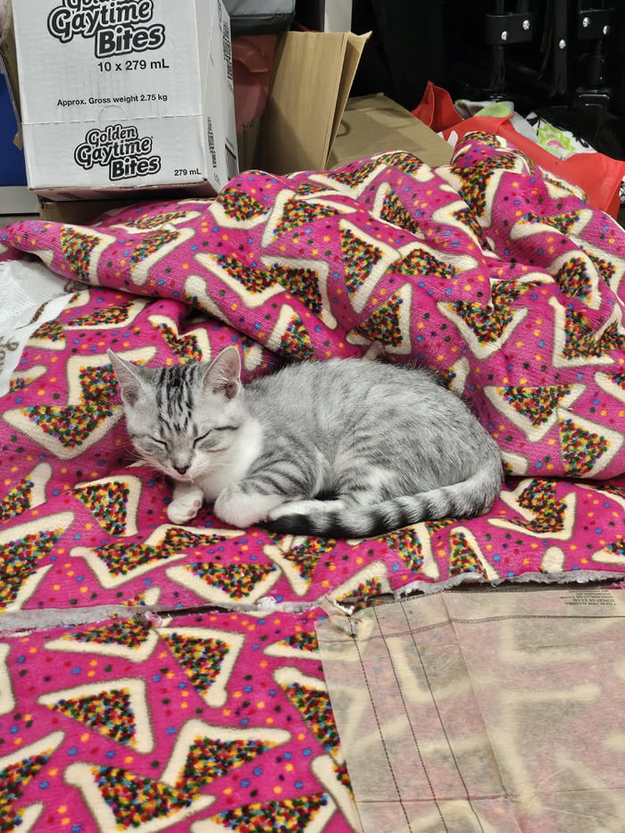 A (very lazy) seamstress - 9GAG