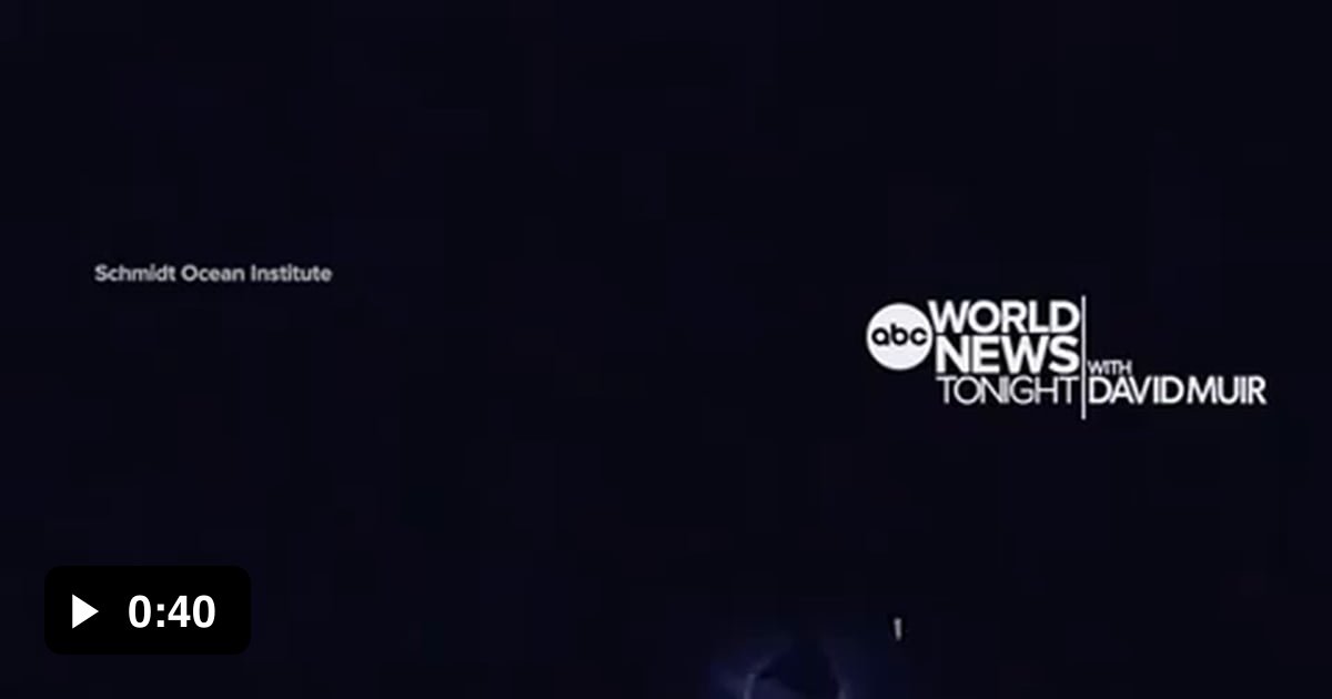 Colossal Squid Caught On Camera In Its Natural Habitat By Scientists For The First Time 9gag