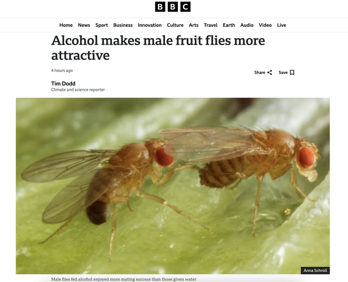 Bullshit. I've been wasted countless times and never found them attractive. - 9GAG