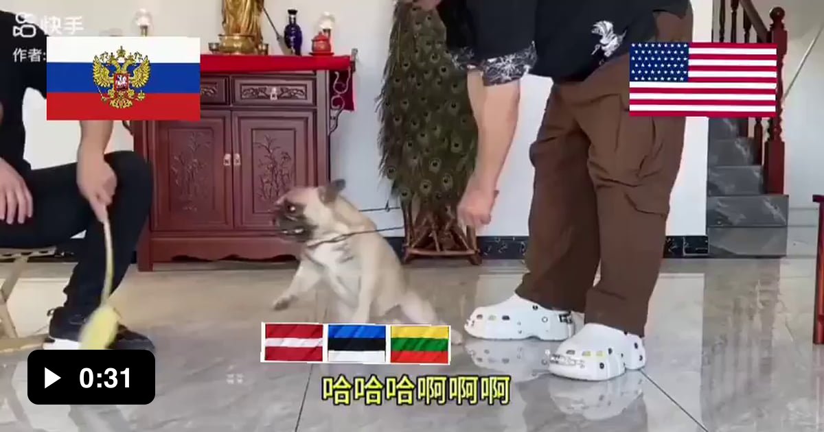 There's a bit of joke in every joke. - 9GAG