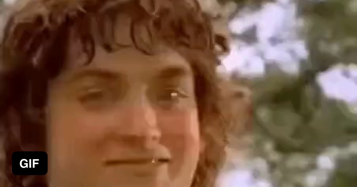 Give me your tired your poor and hungry!! Show me your most cursed dank ...