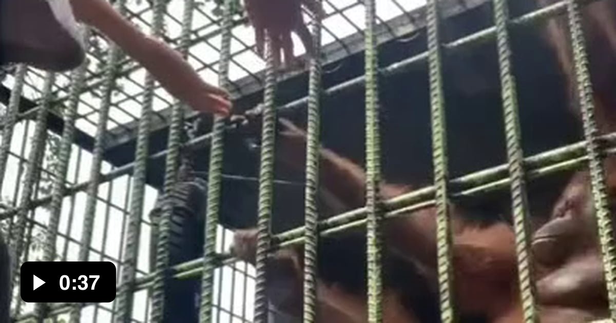 Love knows no boundaries - 9GAG