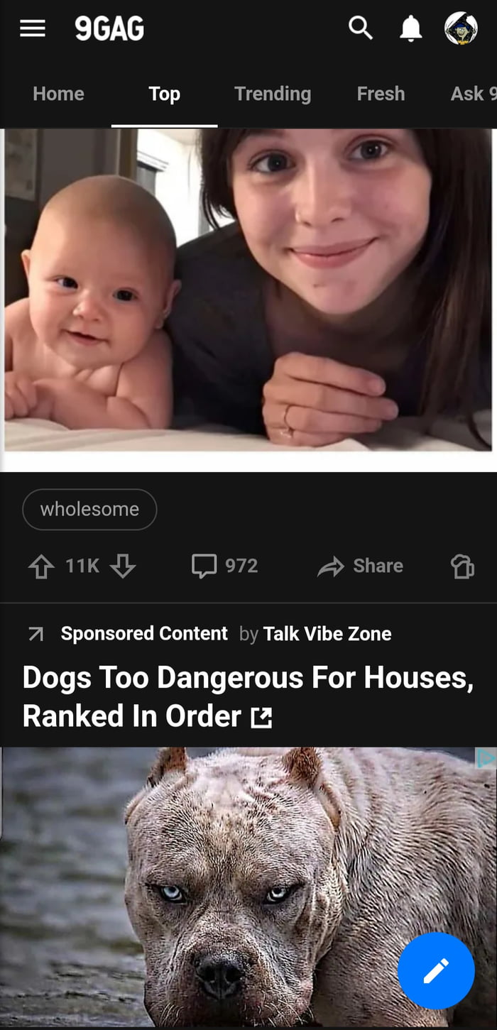 A hunt is about to end - 9GAG