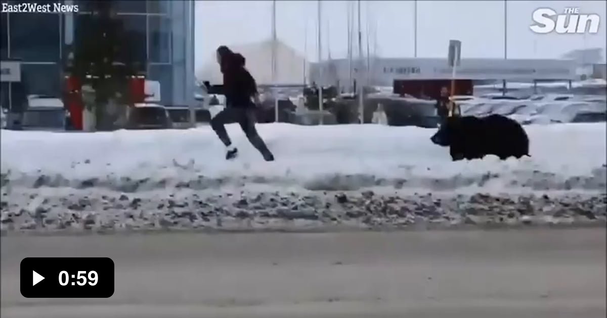 Bear chasing man in France leaving onlookers confused - 9GAG