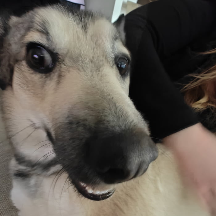 Name this face - 9GAG