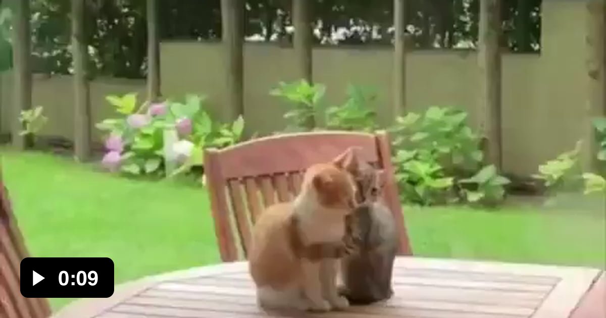 Need Some Hug 9gag
