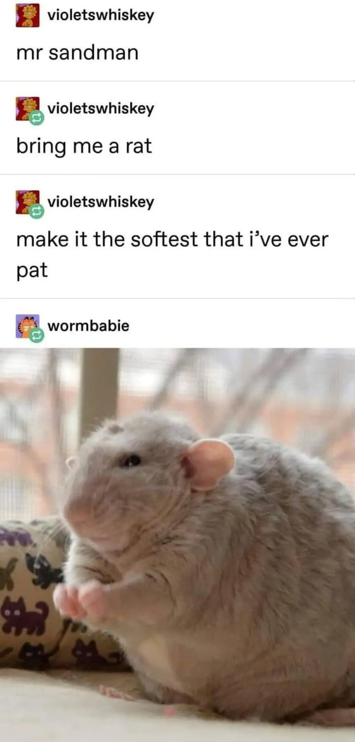 Spam memes until quota is full - 9GAG