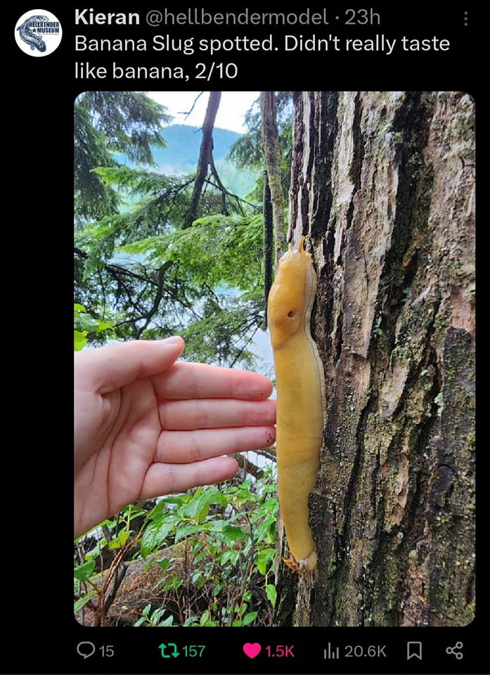 Important revealing !!!1! - 9GAG