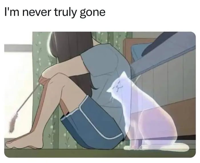 Miss you Ostra - 9GAG