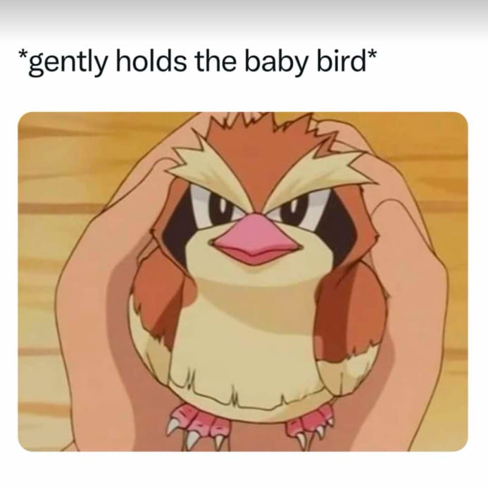 Love this baby bird