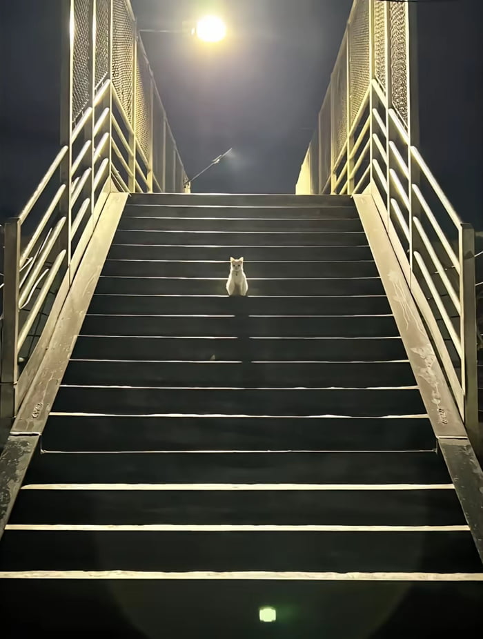 The Stairs of Shame - 9GAG