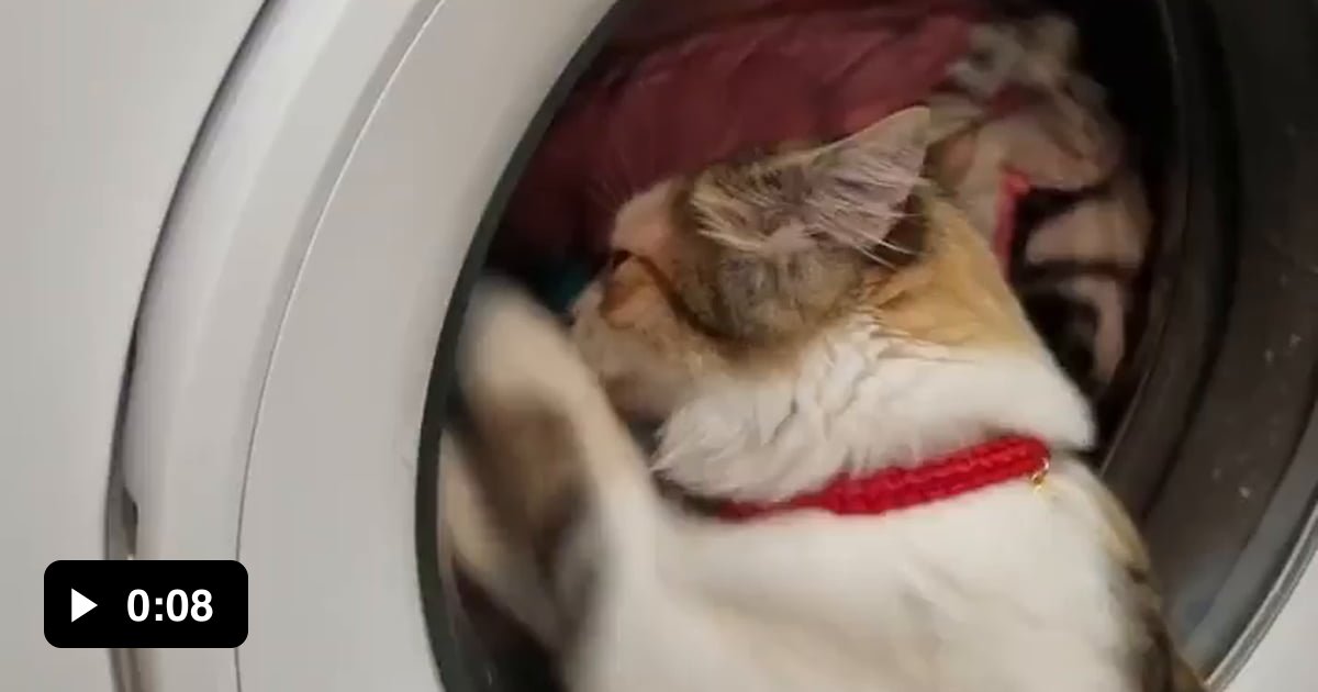 Is this normal behavior? - 9GAG