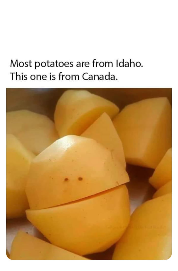 Potato Potato Potato - 9GAG