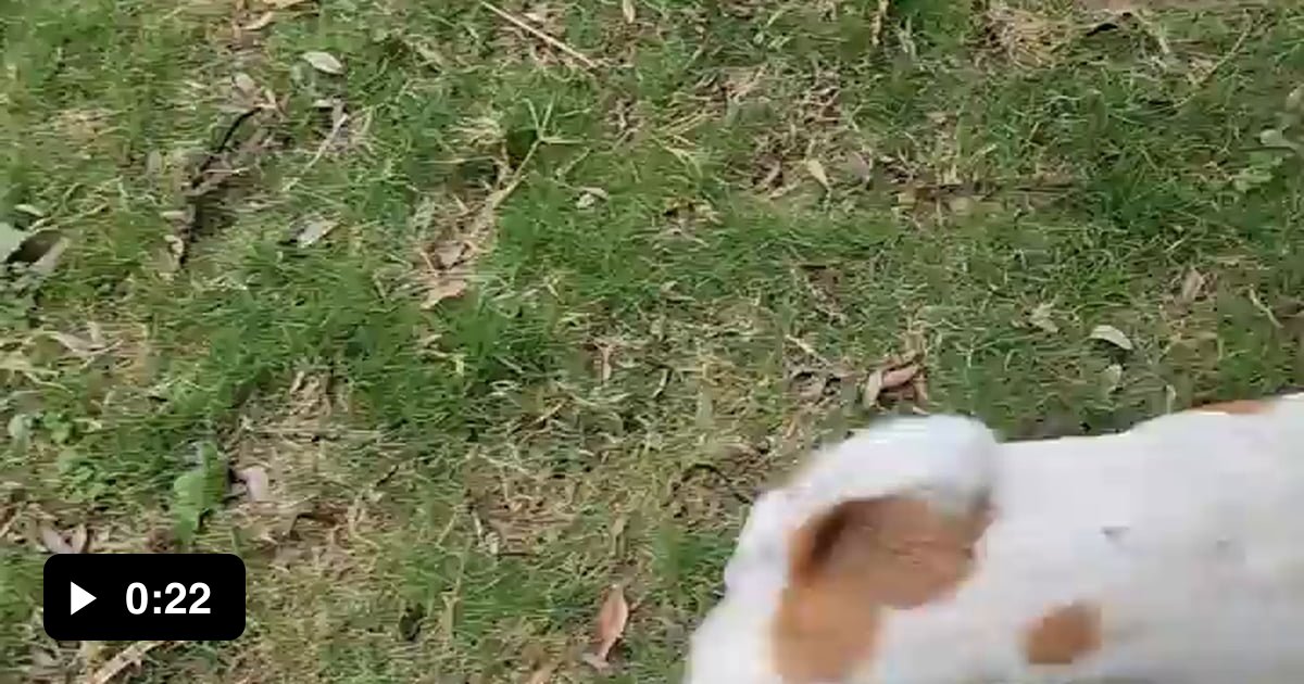 WWWYD: Nuts over Coconuts - 9GAG