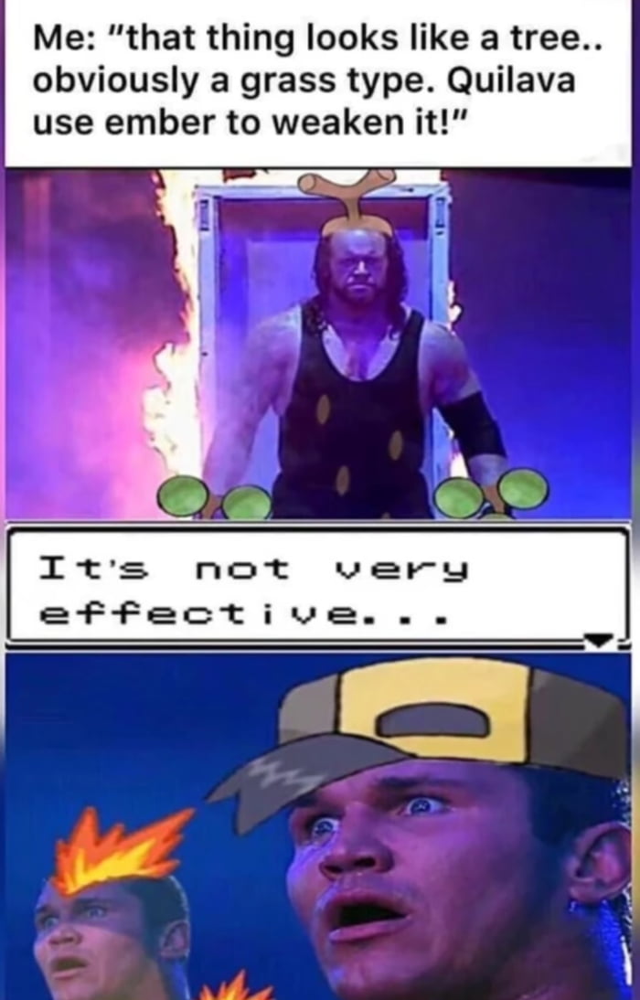 Does he not know sudowoodo means "false wood"? - 9GAG