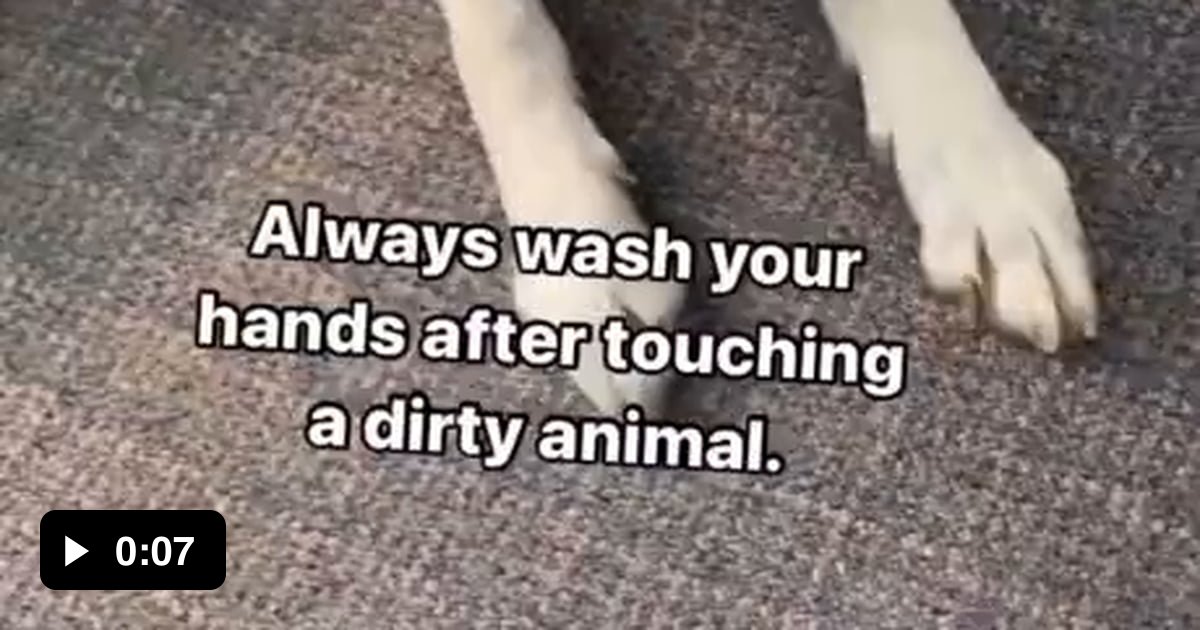 Always wash your hands - 9GAG