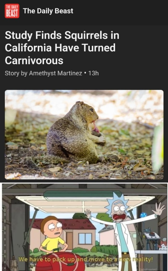 You f**ked with squirrels, Morty! - 9GAG