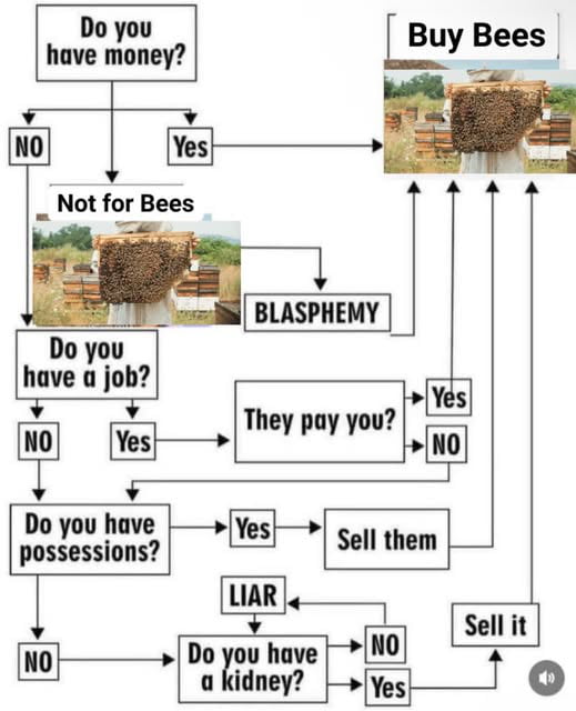 Better buy bees - 9GAG
