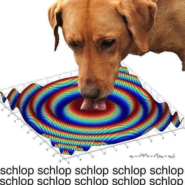 Schlop schlop schlop schlop - 9GAG