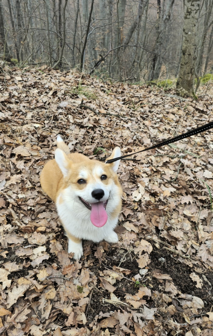 Try to be as happy as Szotyi on his first long hike - 9GAG