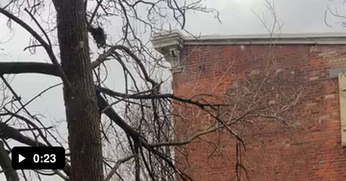 Strange sound came out of nowhere on a Wednesday, what is this noise? - 9GAG