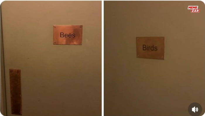 I am a male. I pee on the bird or the bee room? Or it is a room full od ...