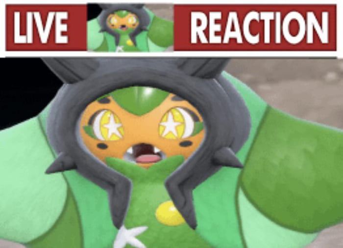 Give me your best Pokémon reaction pics - 9GAG