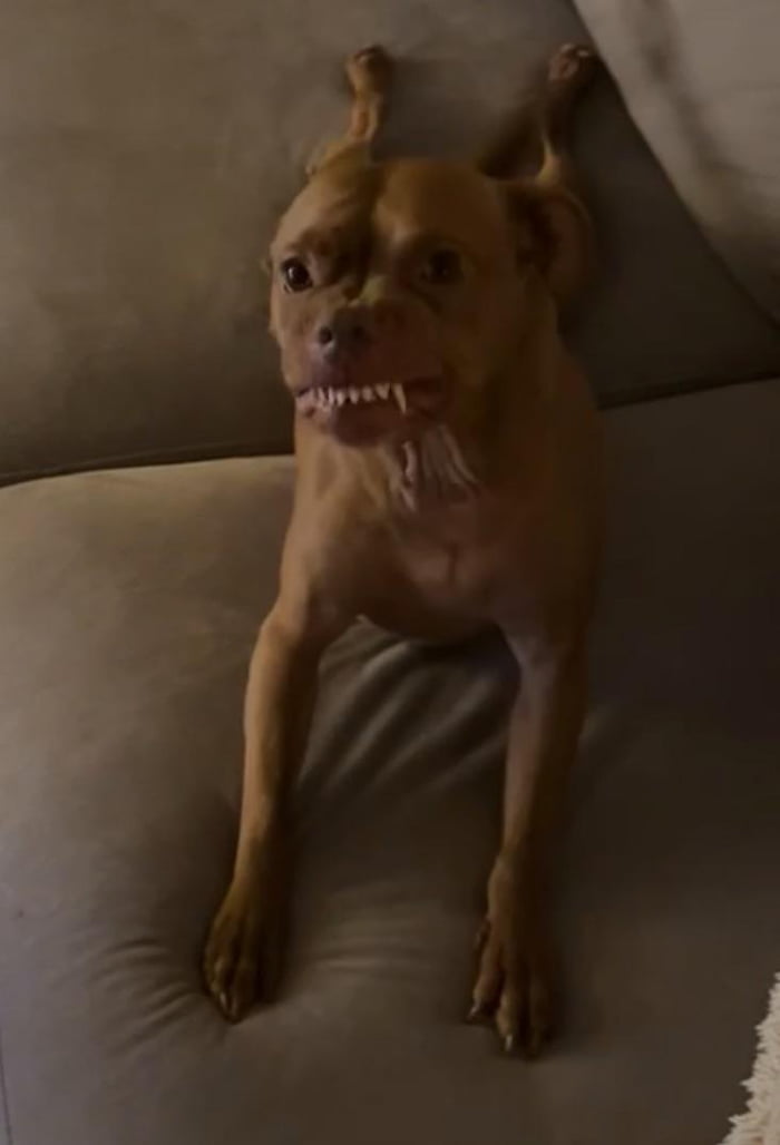 We told her to smile 😂😂😂 - 9GAG