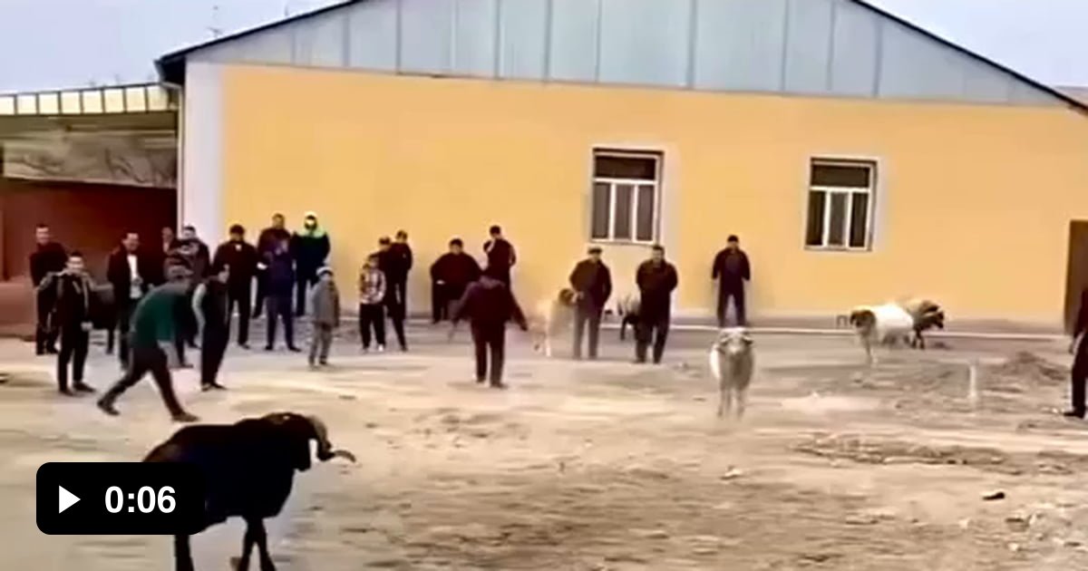 Perfectly timed head bumps - 9GAG