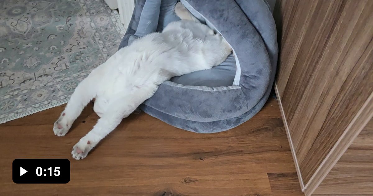 Soki very sleepy - 9GAG